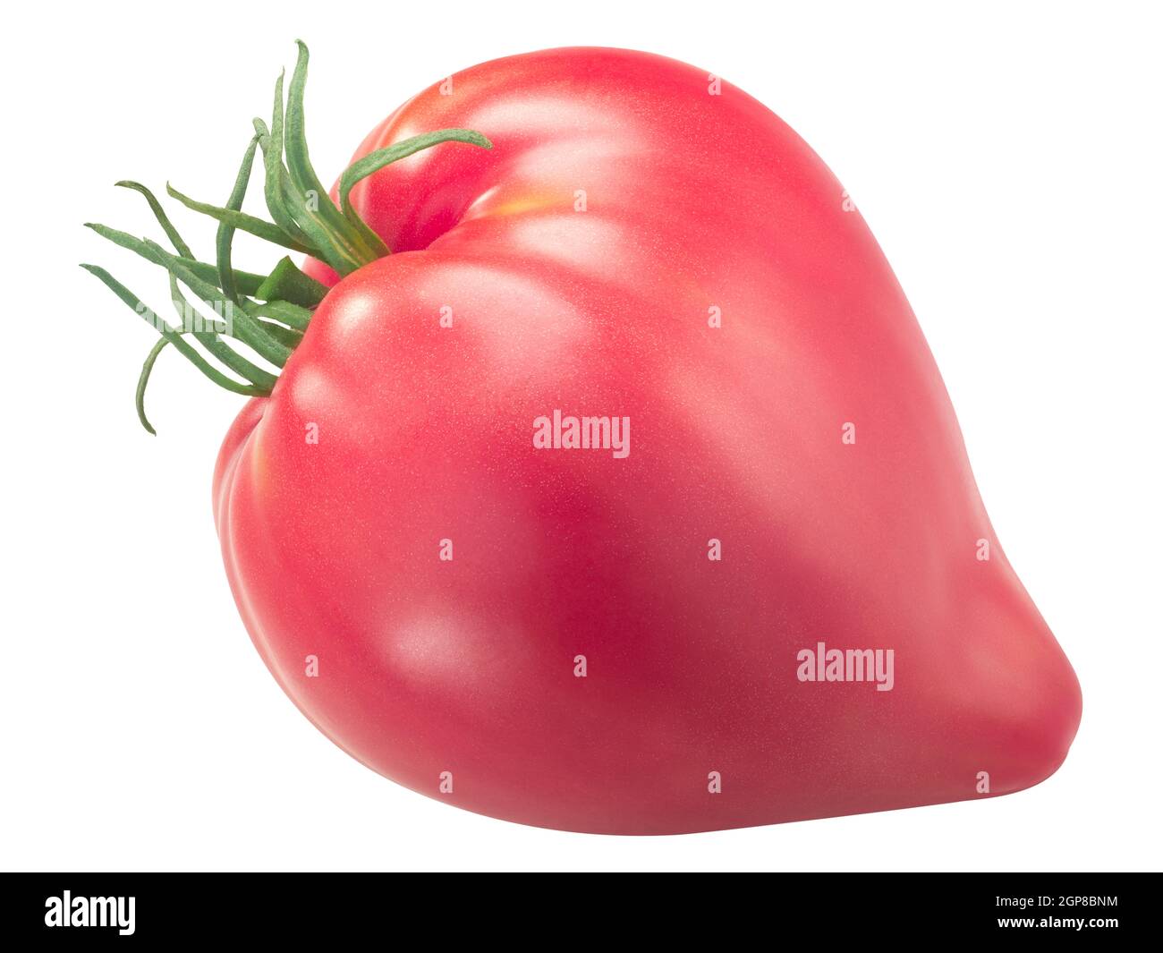 Sterling Old Norway heirloom tomato, pink oxheart type, isolated Stock ...