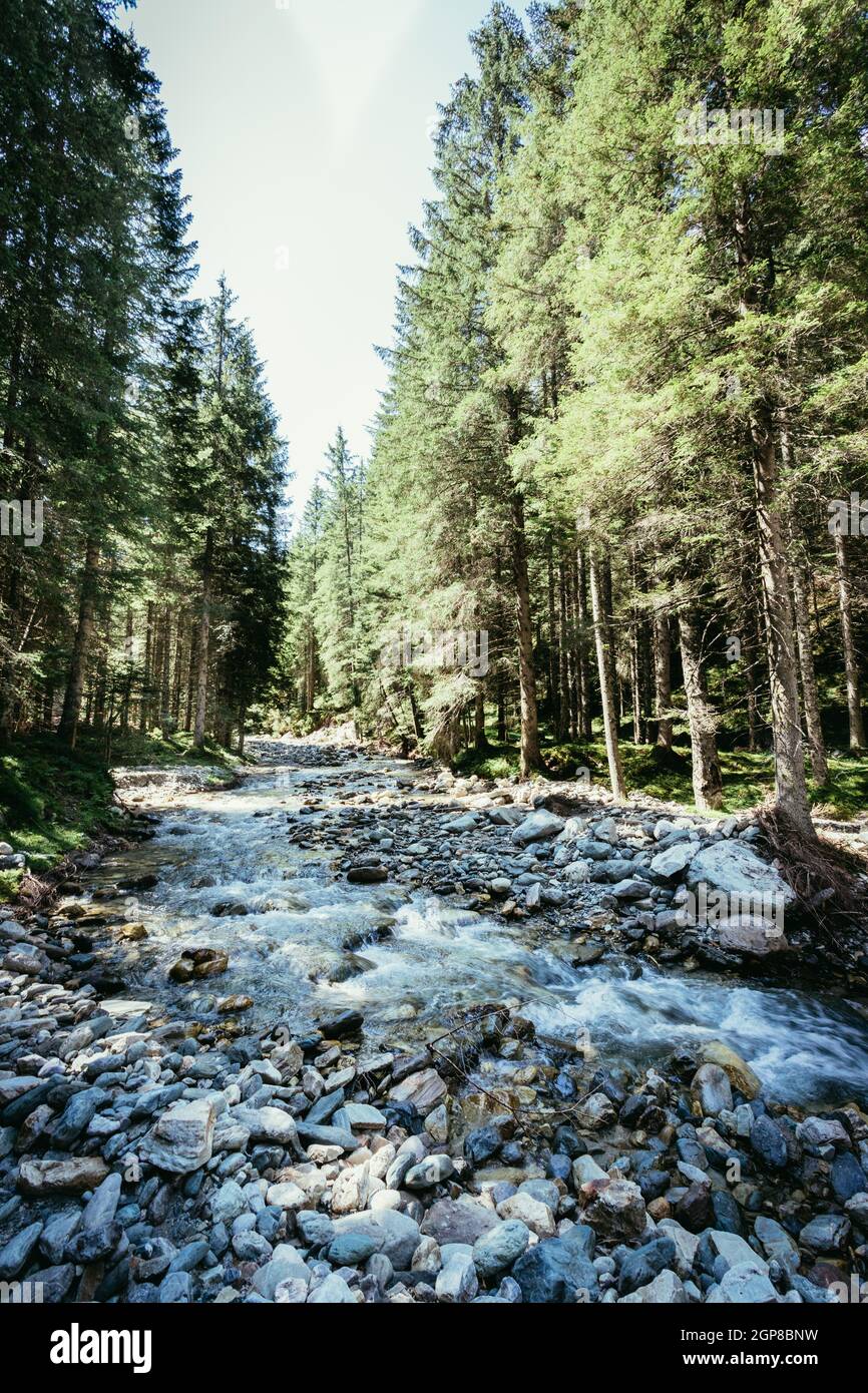 Beautiful river and forest landscape in the Alps, Austria Stock Photo ...