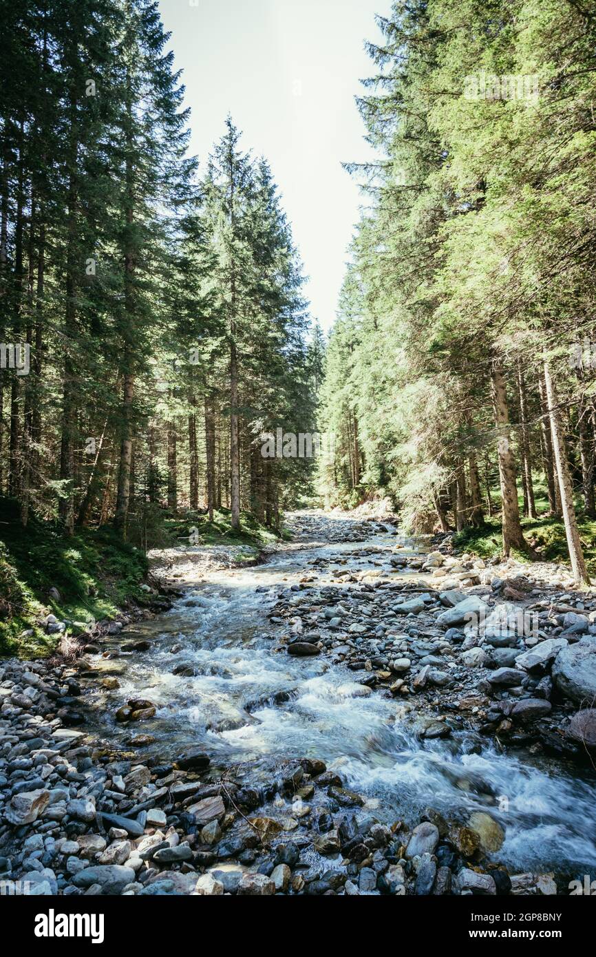 Beautiful river and forest landscape in the Alps, Austria Stock Photo ...