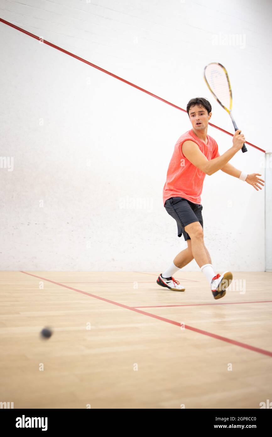 Squash player in action on a squash court (motion blurred image; color ...