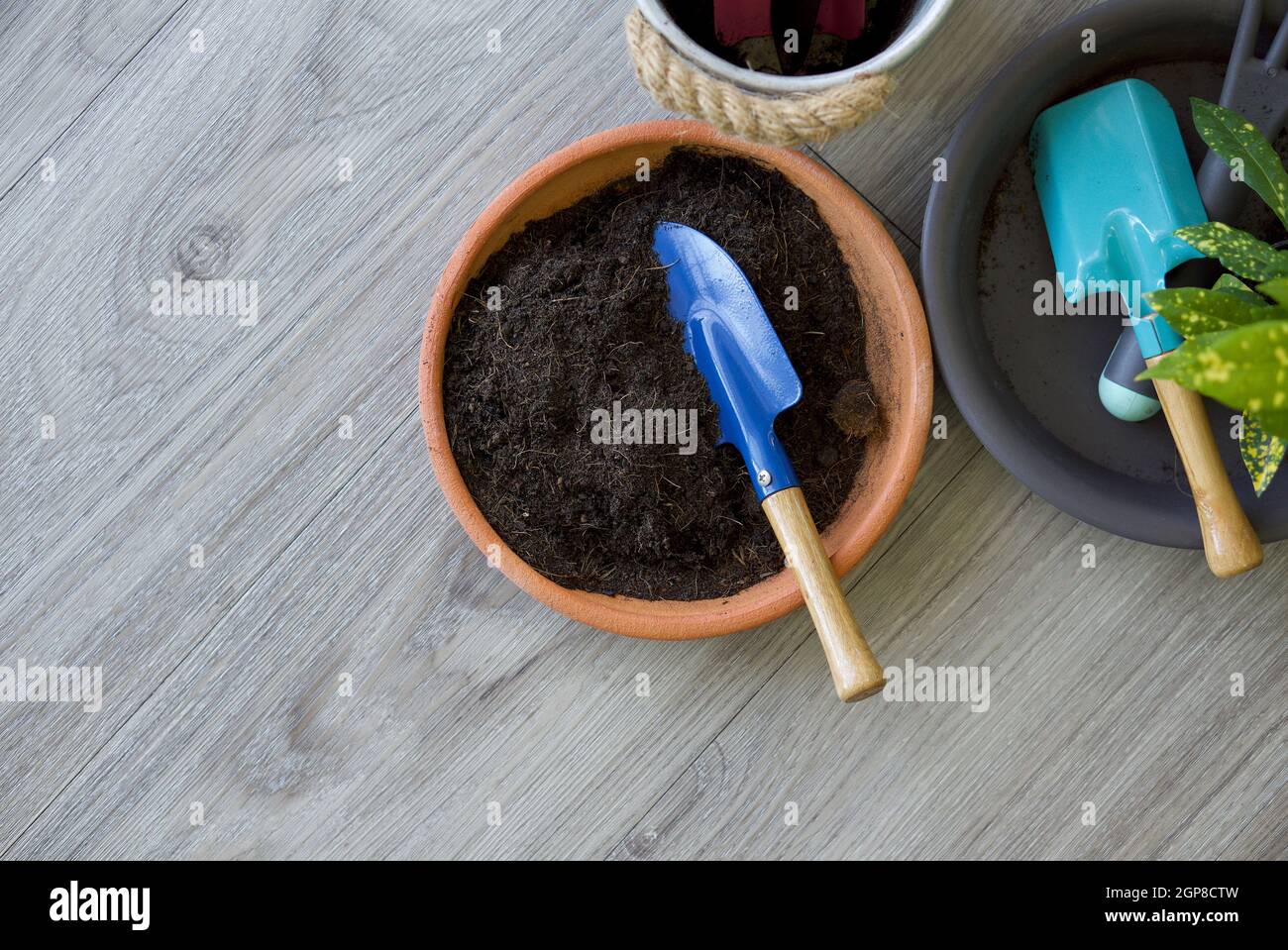 Blue gardening shovel in pot planters with soil and fertilizer on ...