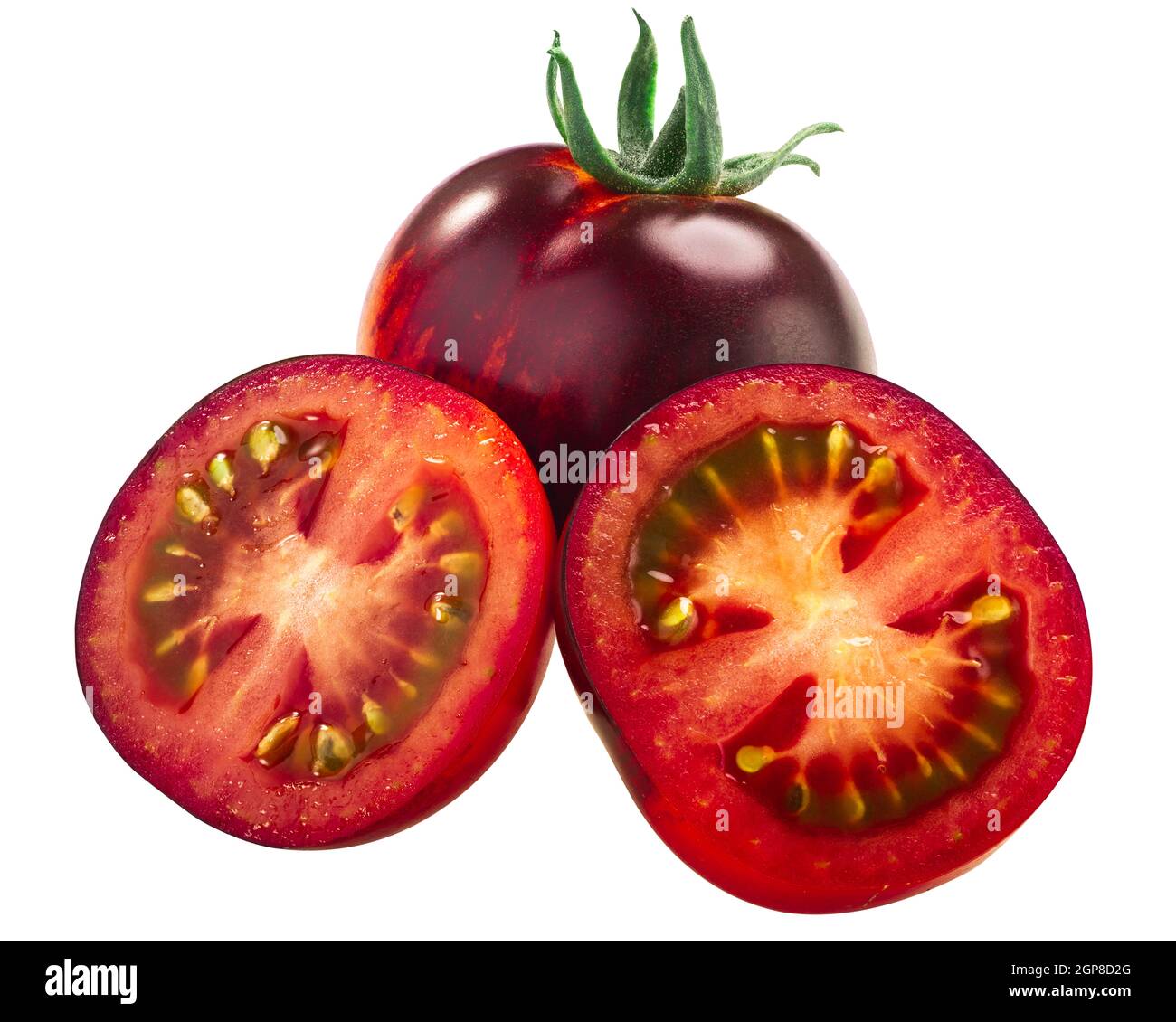 Indigo Rose heirloom tomato, ripe anthocyanin-rich fruit, isolated ...