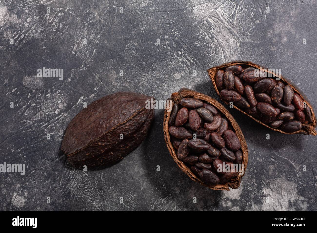 Split fermented cocoa pods with shelled cacao beans atop dark grey ...