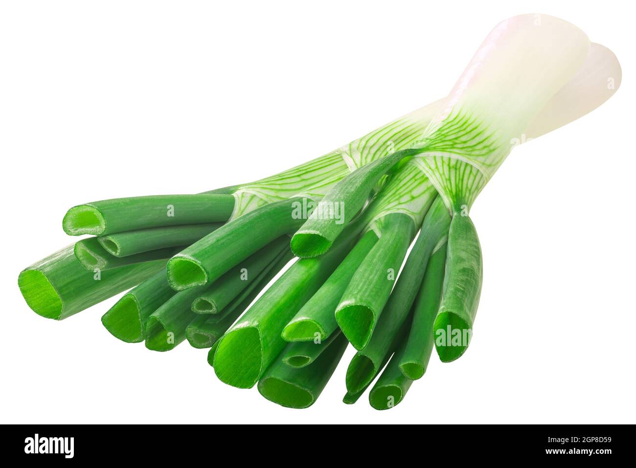 Green leek stalk (Allium cepa) isolated Stock Photo - Alamy