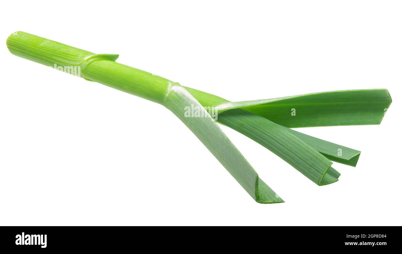 Green garlic stalk (Allium sativum), isolated Stock Photo - Alamy