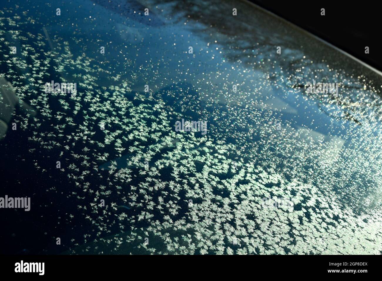 Car front window hi-res stock photography and images - Alamy