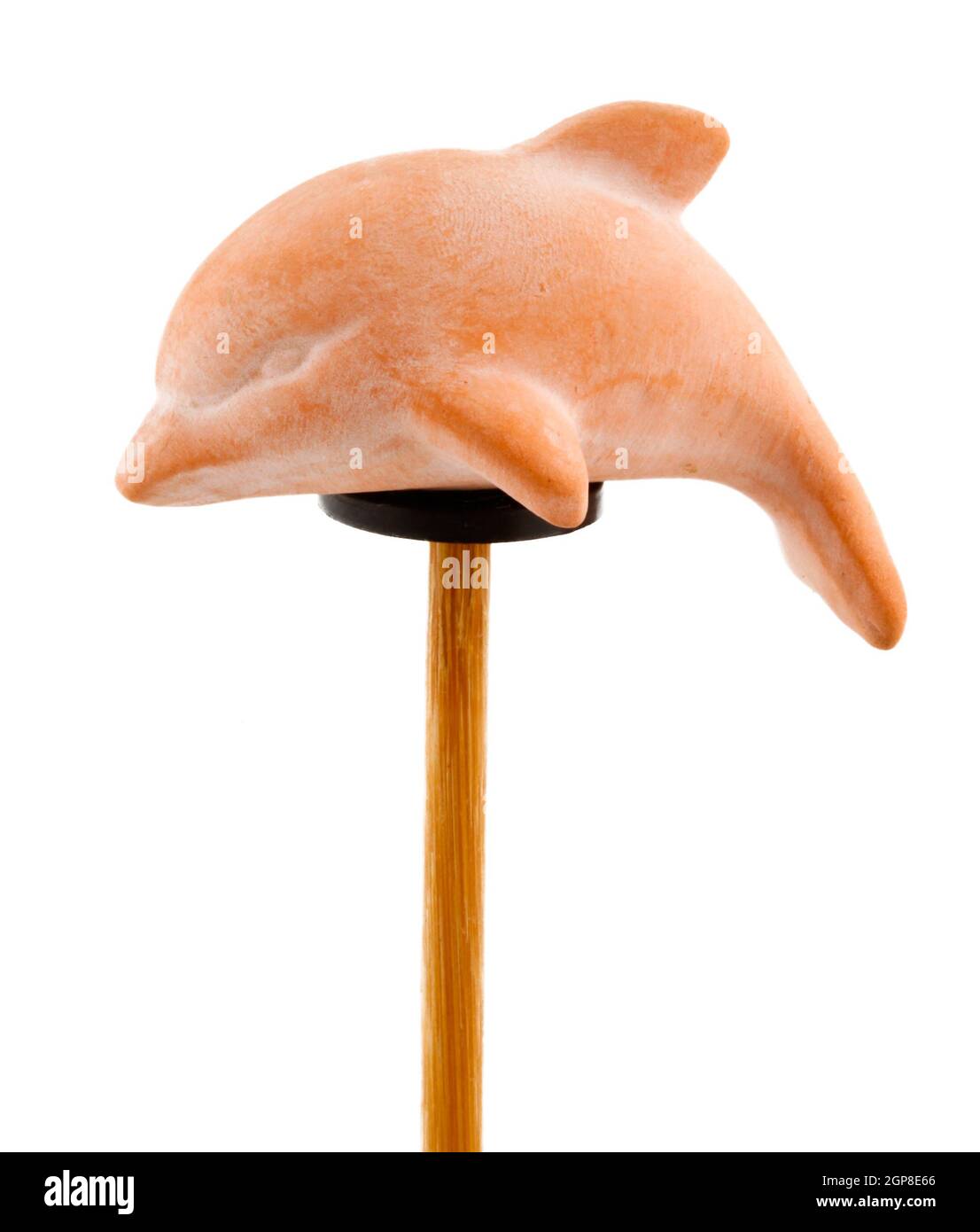 Isolated dolphin design Cut Out Stock Images & Pictures - Alamy