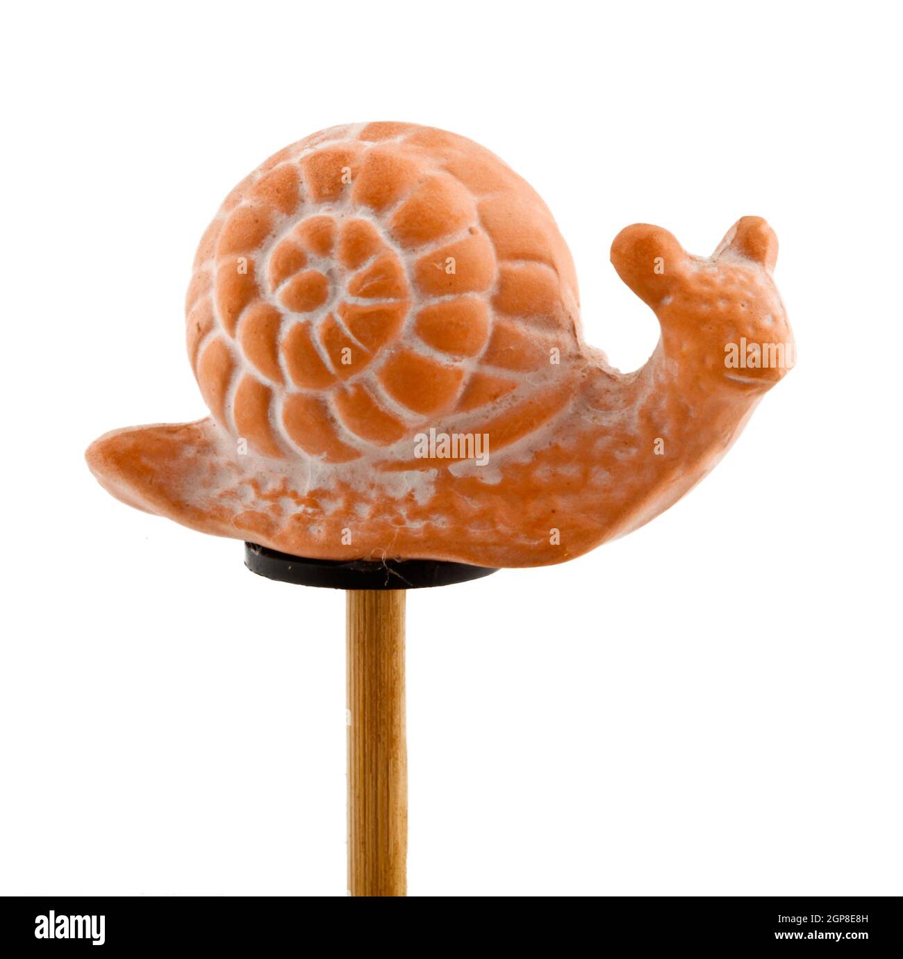 Terracotta snail hi-res stock photography and images - Alamy