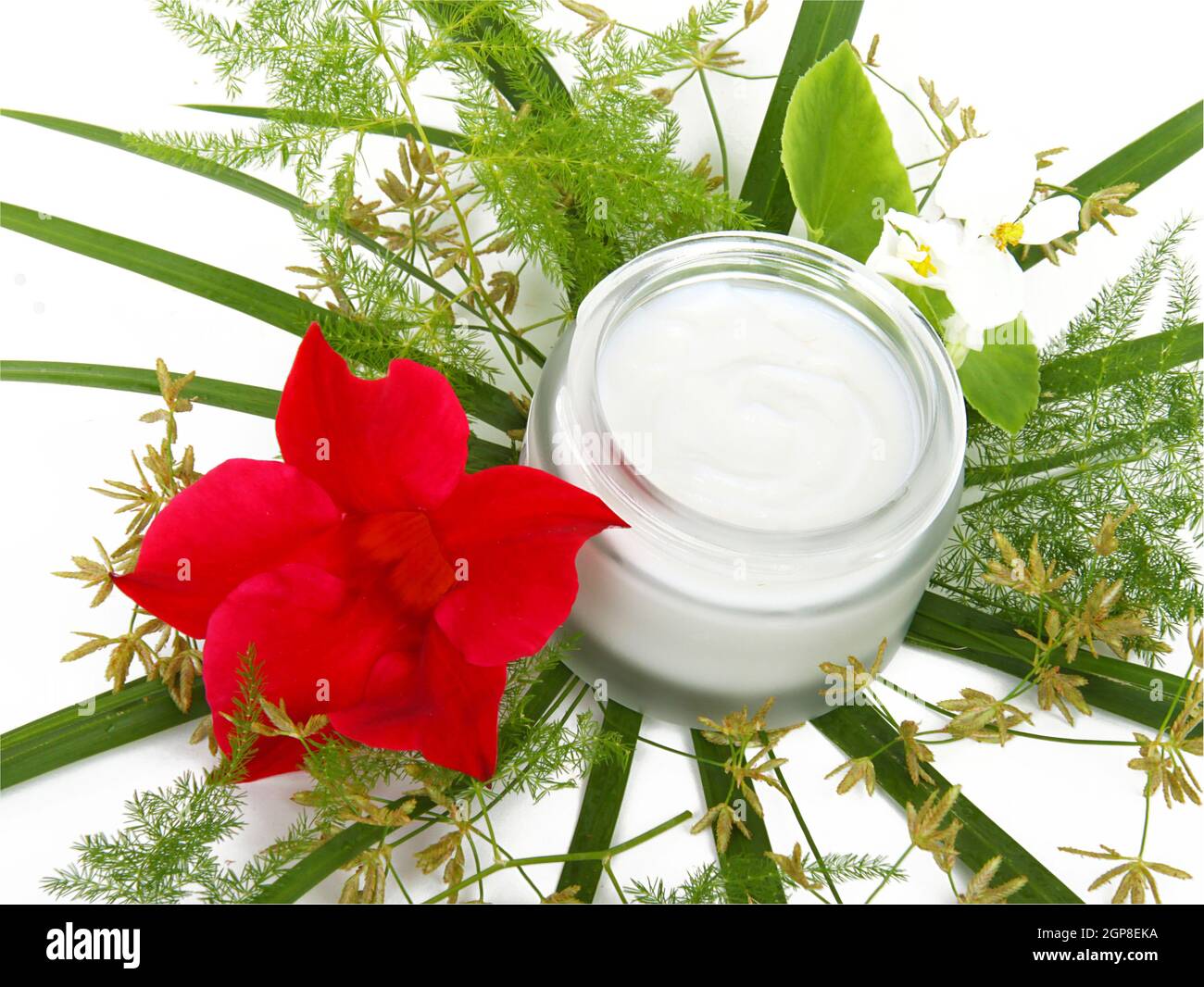 face cream with green leaves isolated on white background Stock Photo ...