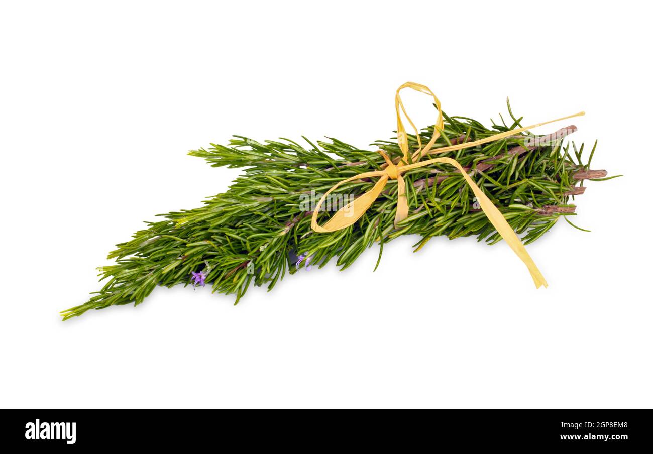 Rosemary herb leaf sprig in flower isolated over white background Stock ...