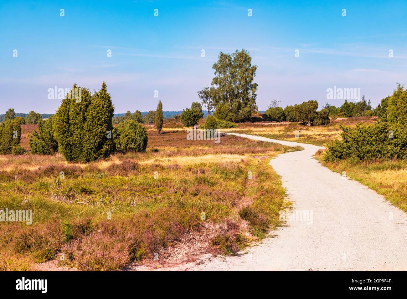 Luneburg heath nature reserve hi-res stock photography and images - Alamy