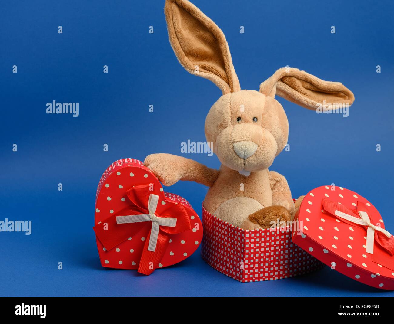 cute plush rabbit holding a gift box tied with a red silk ribbon, blue ...