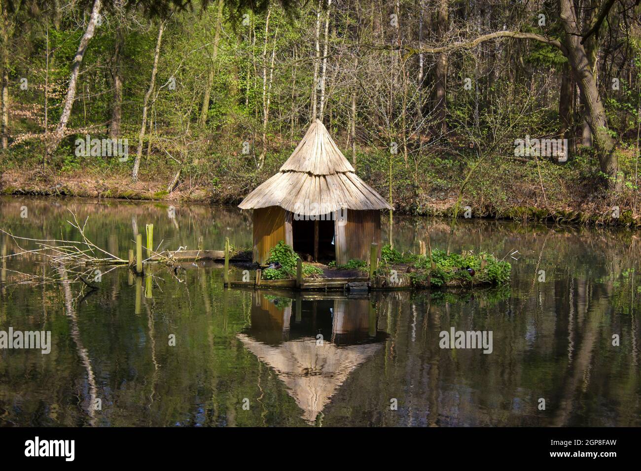 Wooden hut at the lake in summer in rural Germany Stock Photo - Alamy