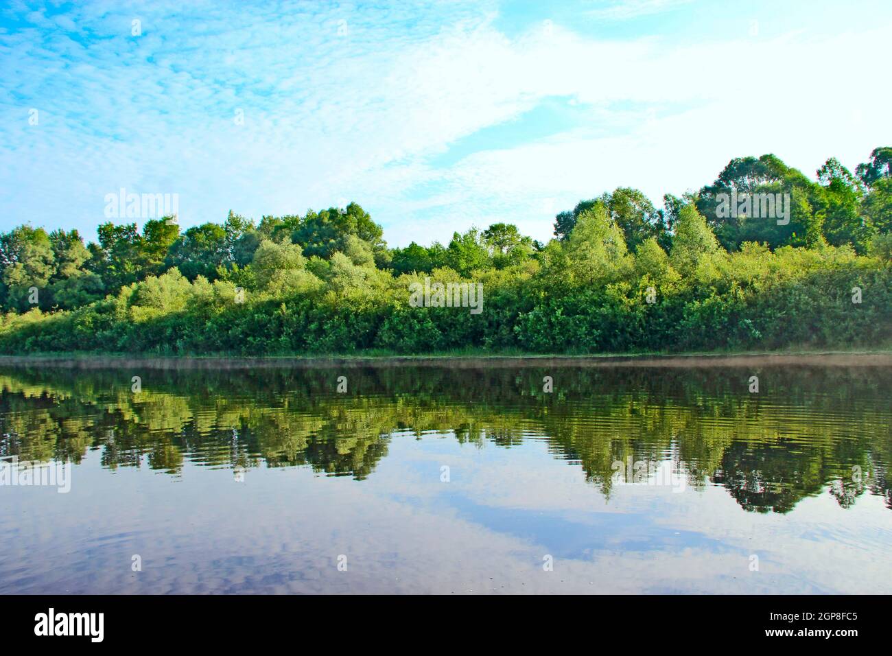 Landscape with summer river. Trees and bushes are reflected in water of ...