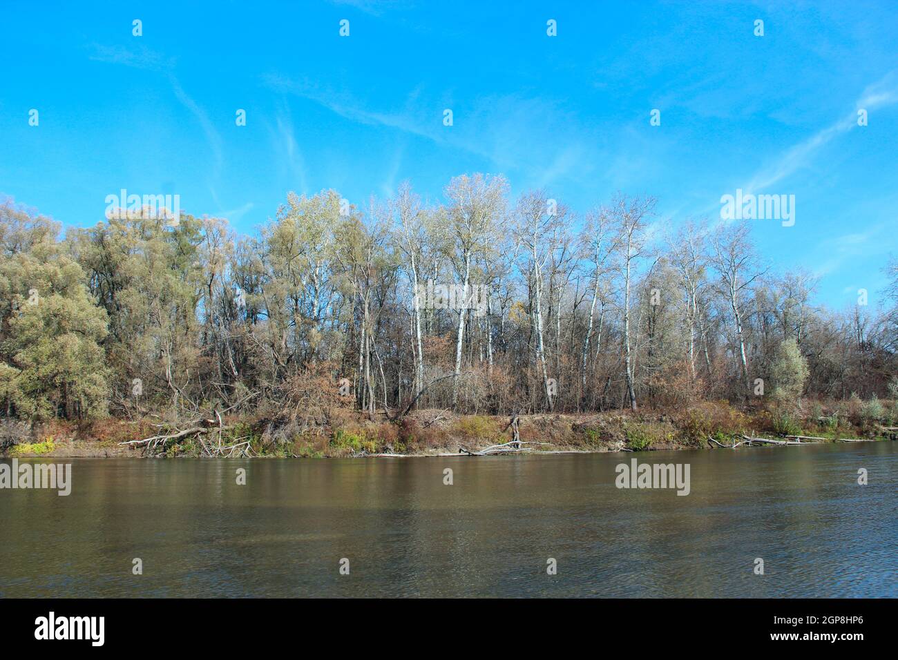 Landscape with autumn river. Trees and bushes are reflected in water of ...