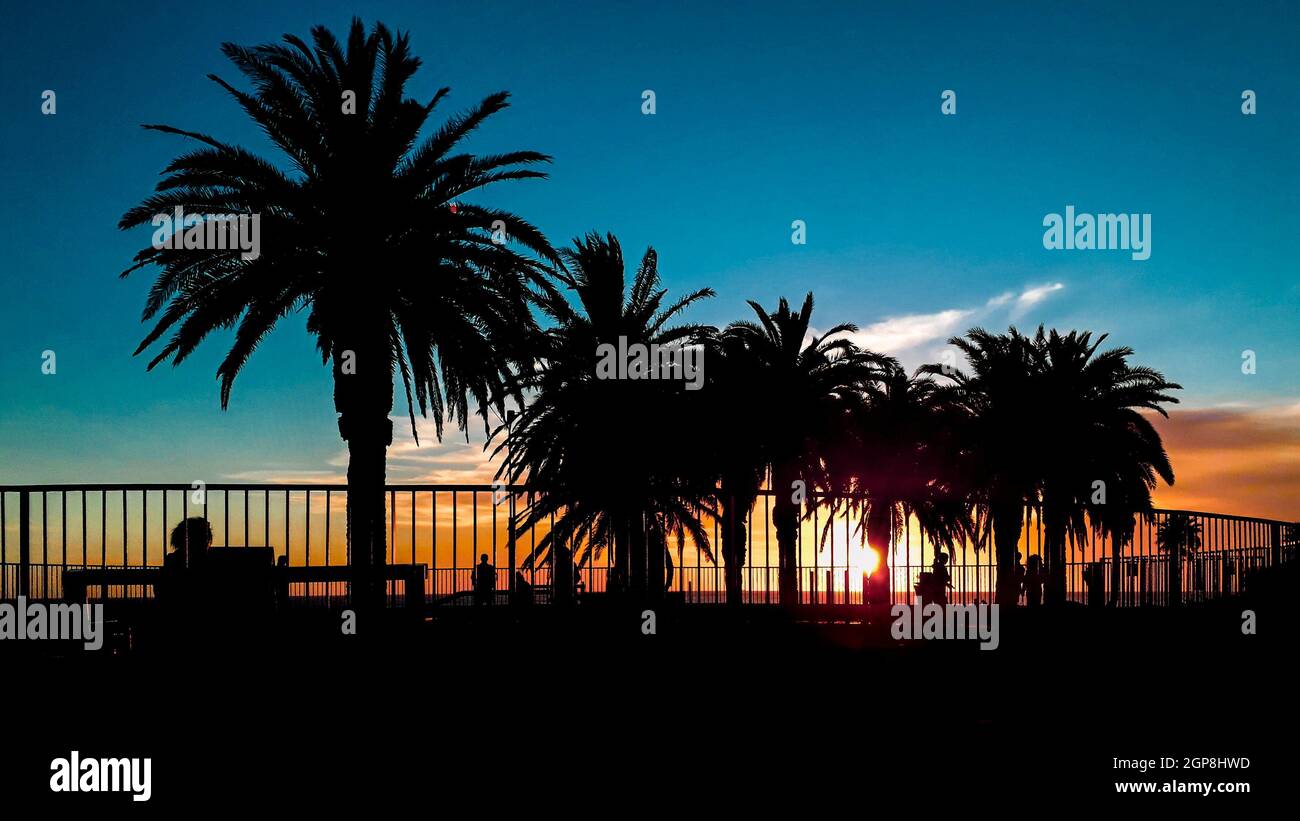 High contrast sunset silhouette coastal scene at montevideo city ...