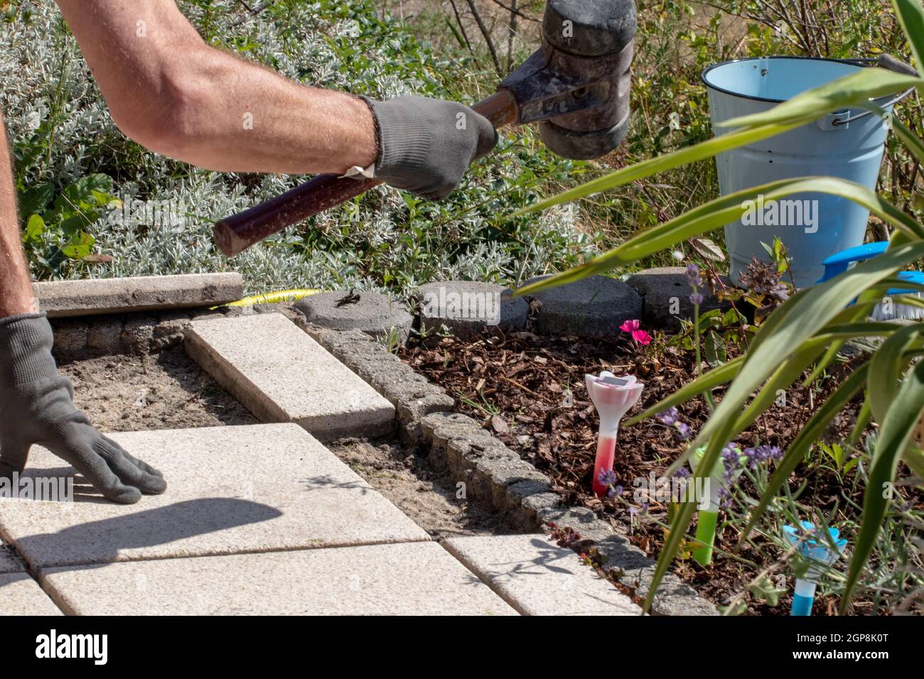 Tools of the craftsman. A professional paver worker laying patio slabs ...