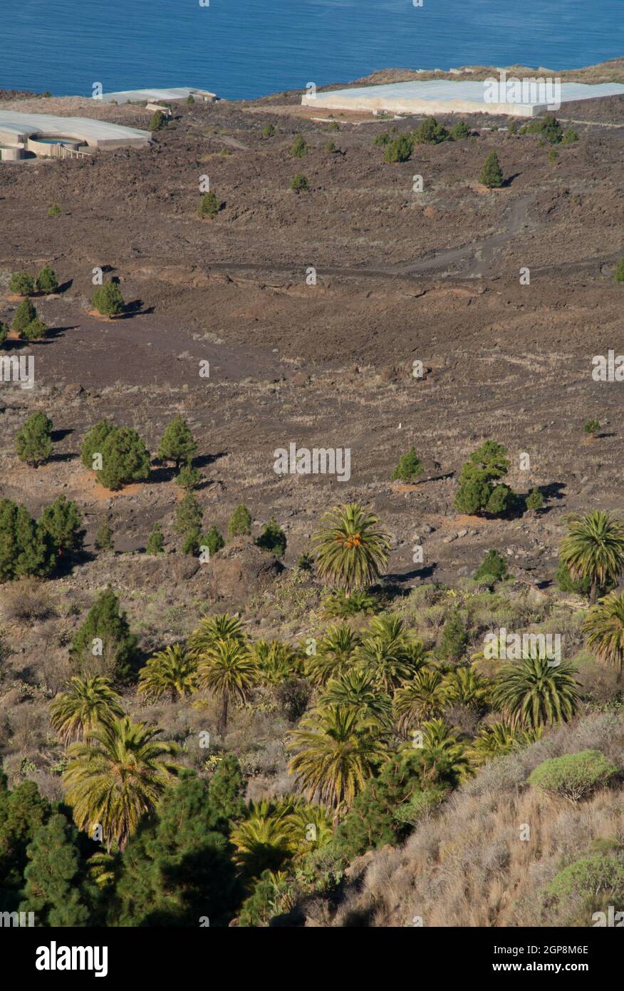 Landscape in the Tamanca Protected Landscape. La Palma. Canary Islands ...