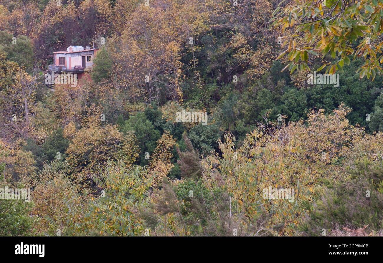 Brena alta, la palma hi-res stock photography and images - Alamy