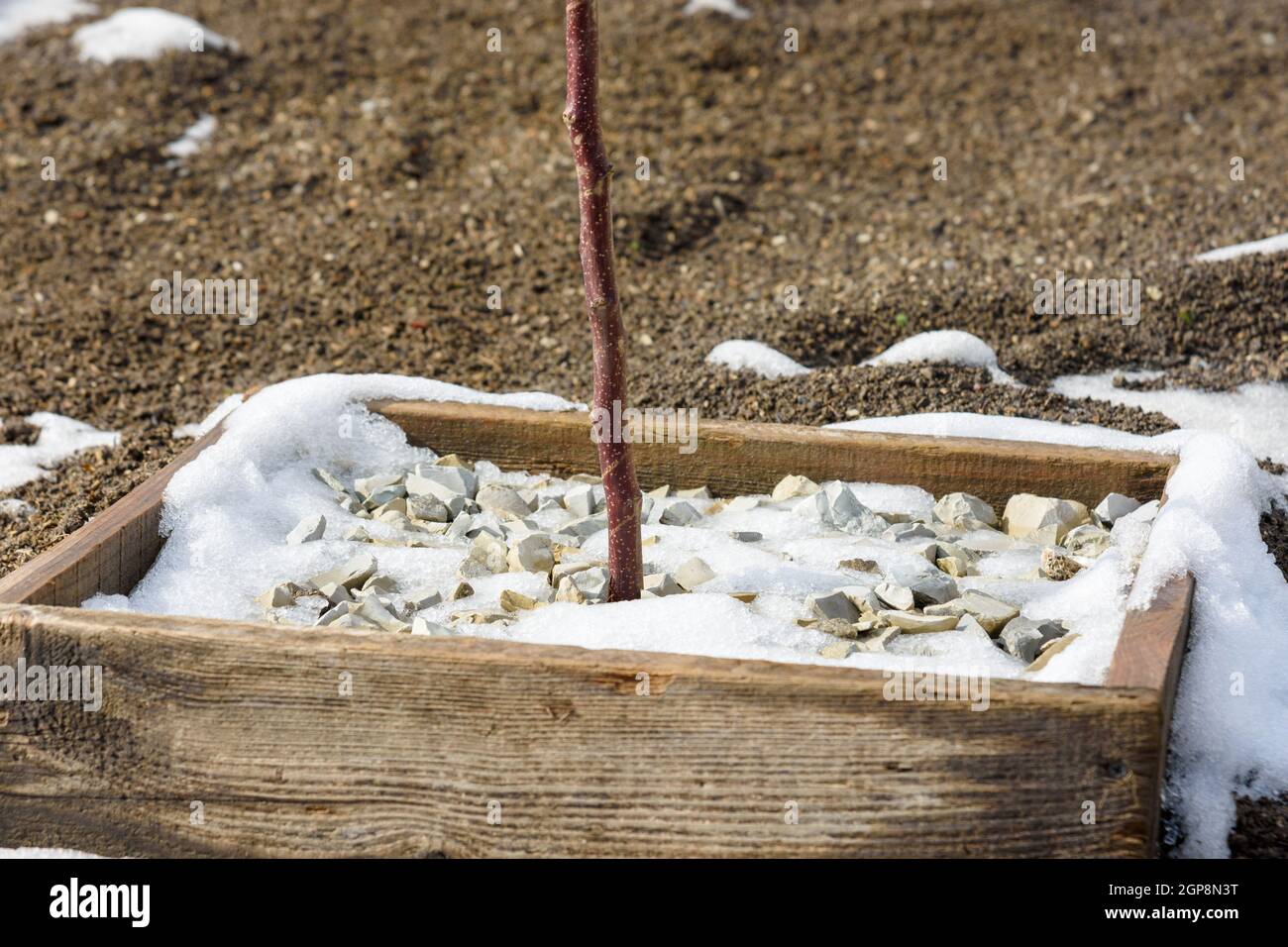Remnants of melting snow on a wooden hole covered with decorative fine ...