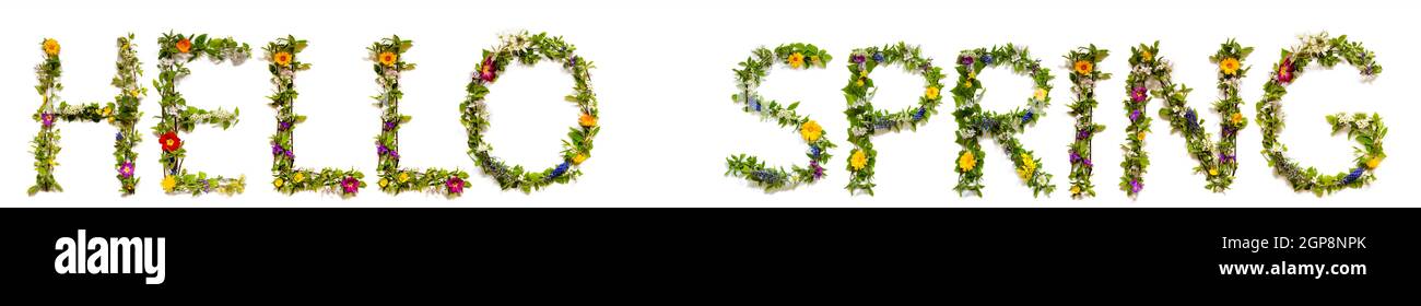 Flower, Branches And Blossom Letter Building English Word Hello Spring ...