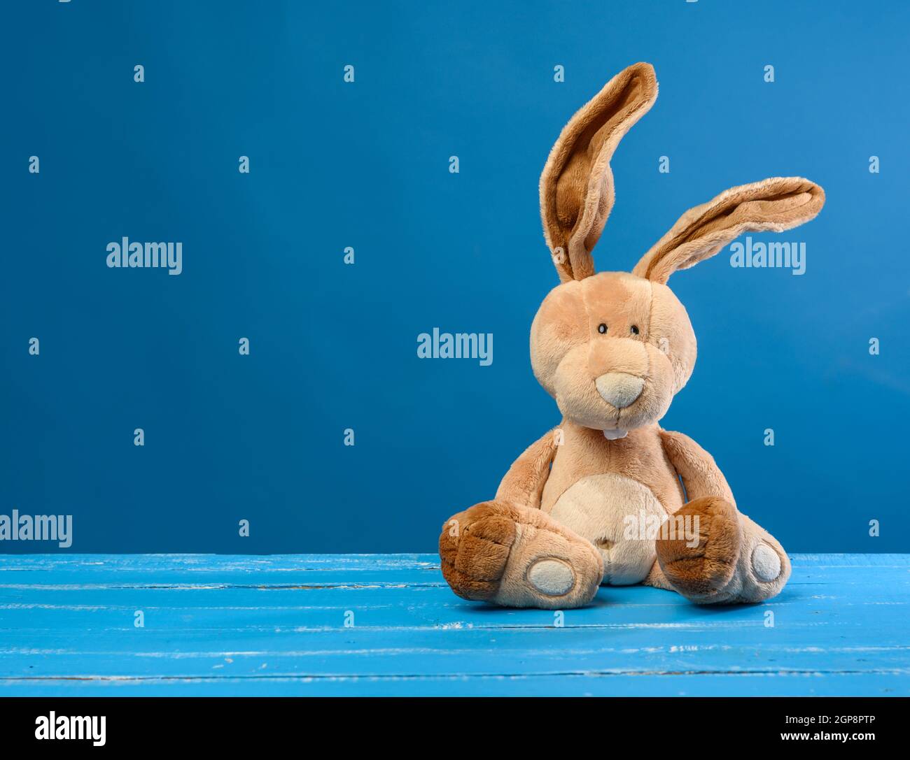 funny beige plush rabbit with big ears and funny face on a blue ...