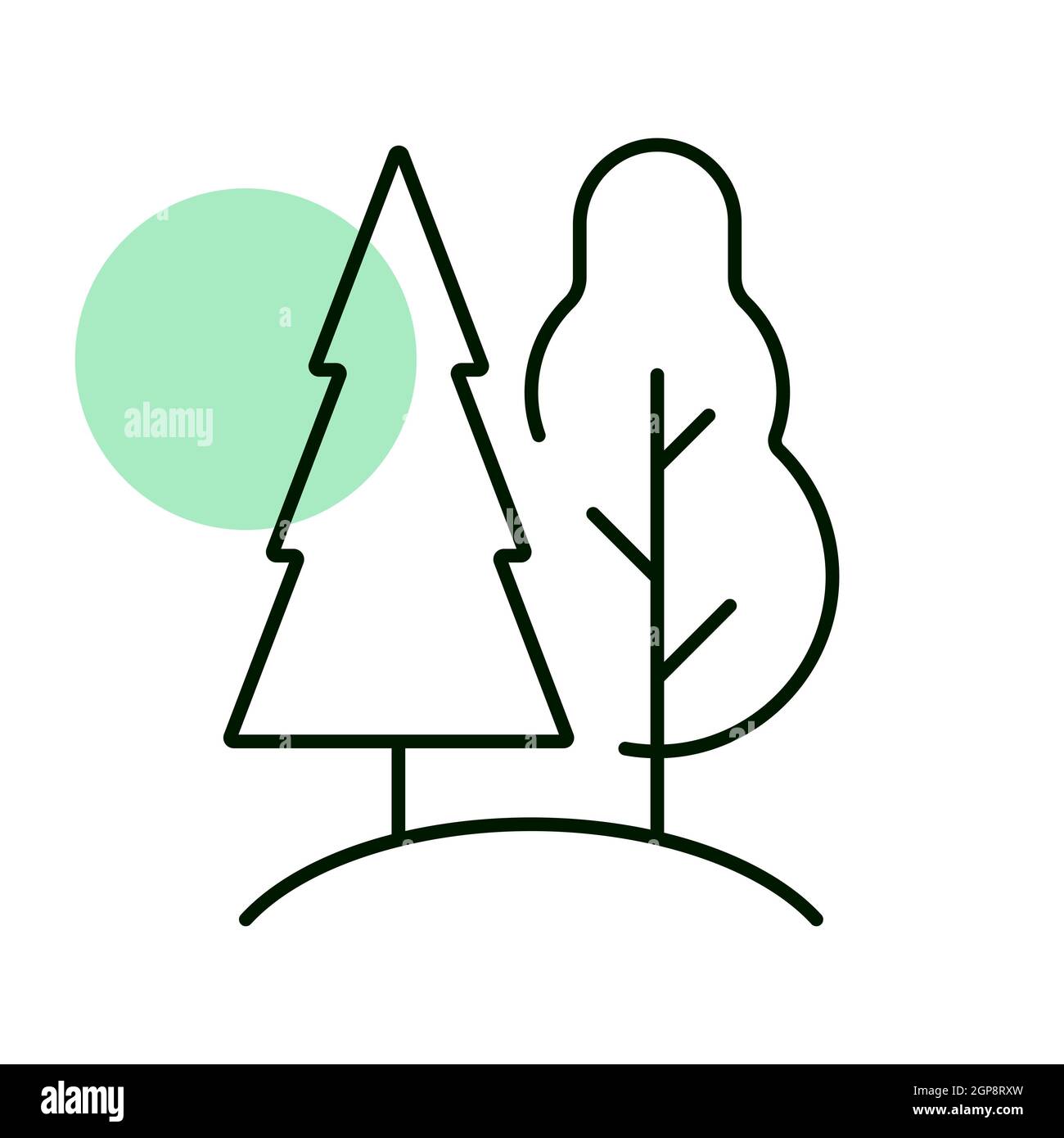 Deciduous and conifer forest vector icon. Nature sign. Graph symbol for ...
