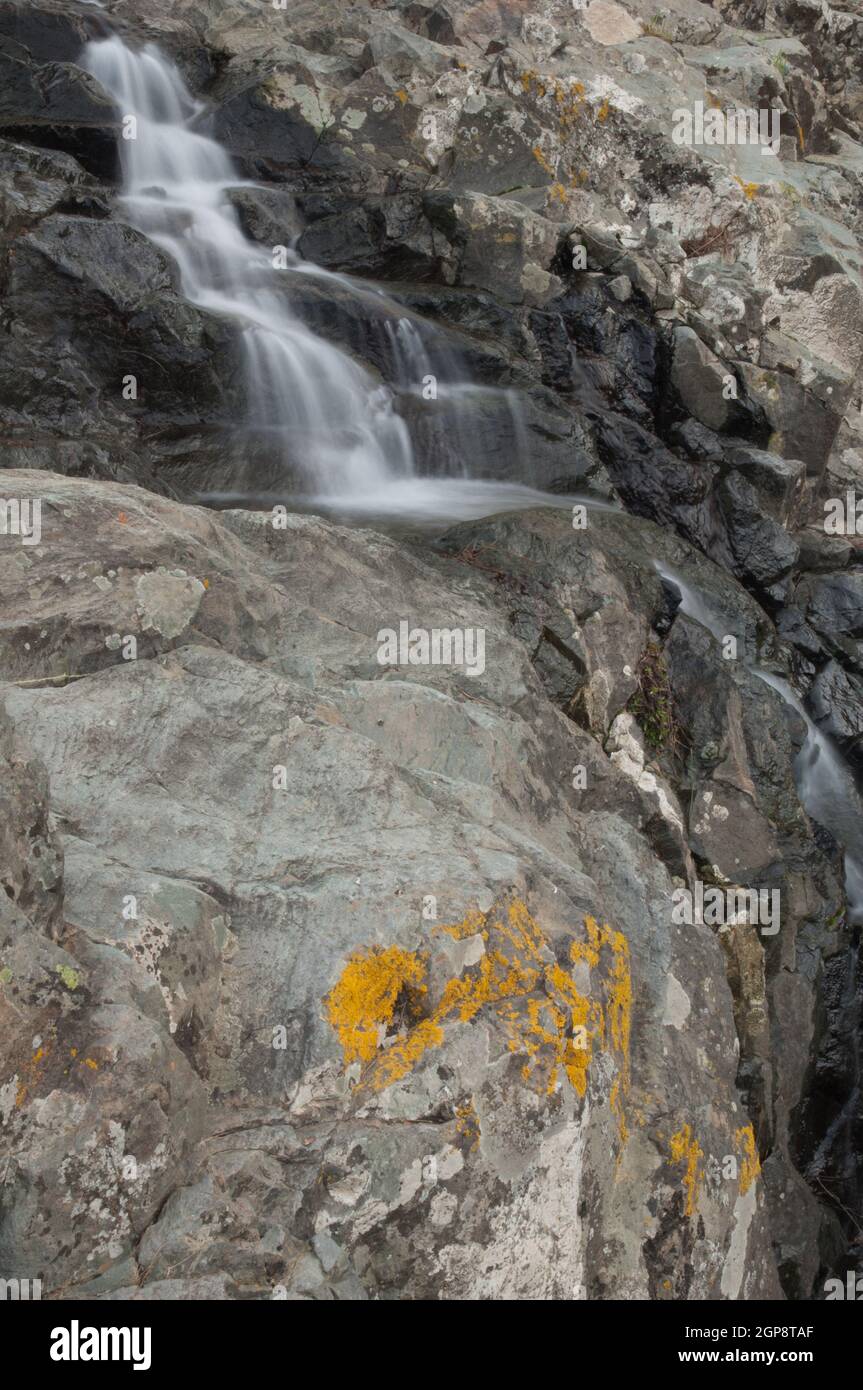 Stream in the Integral Natural Reserve of Inagua. Gran Canaria. Canary ...