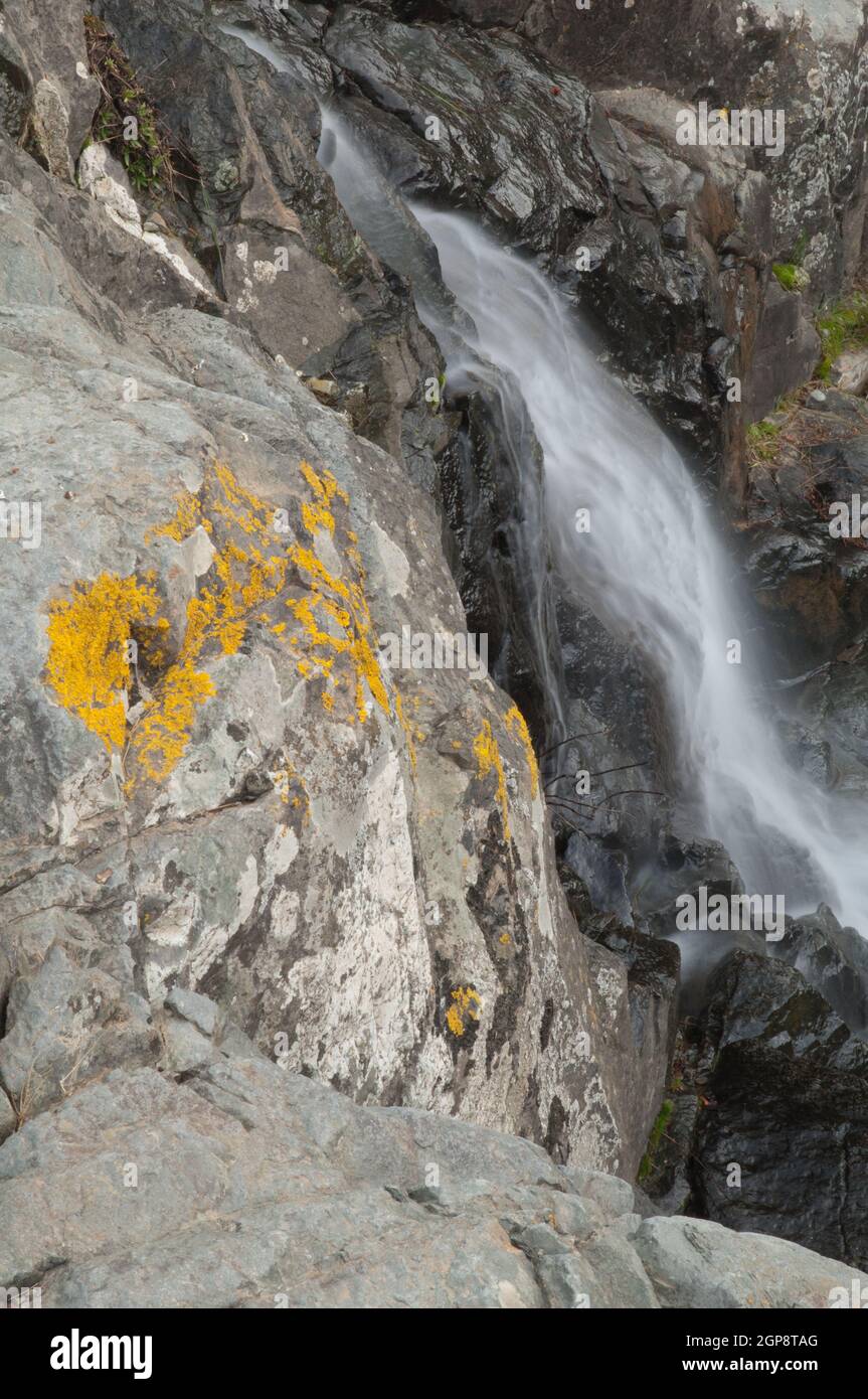 Stream in the Integral Natural Reserve of Inagua. Gran Canaria. Canary ...