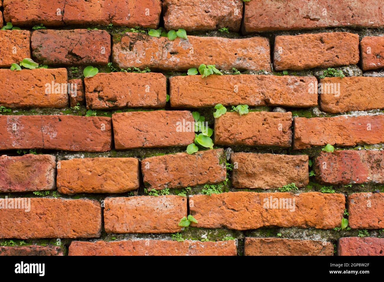 Wall Brick pattern old building Stock Photo - Alamy