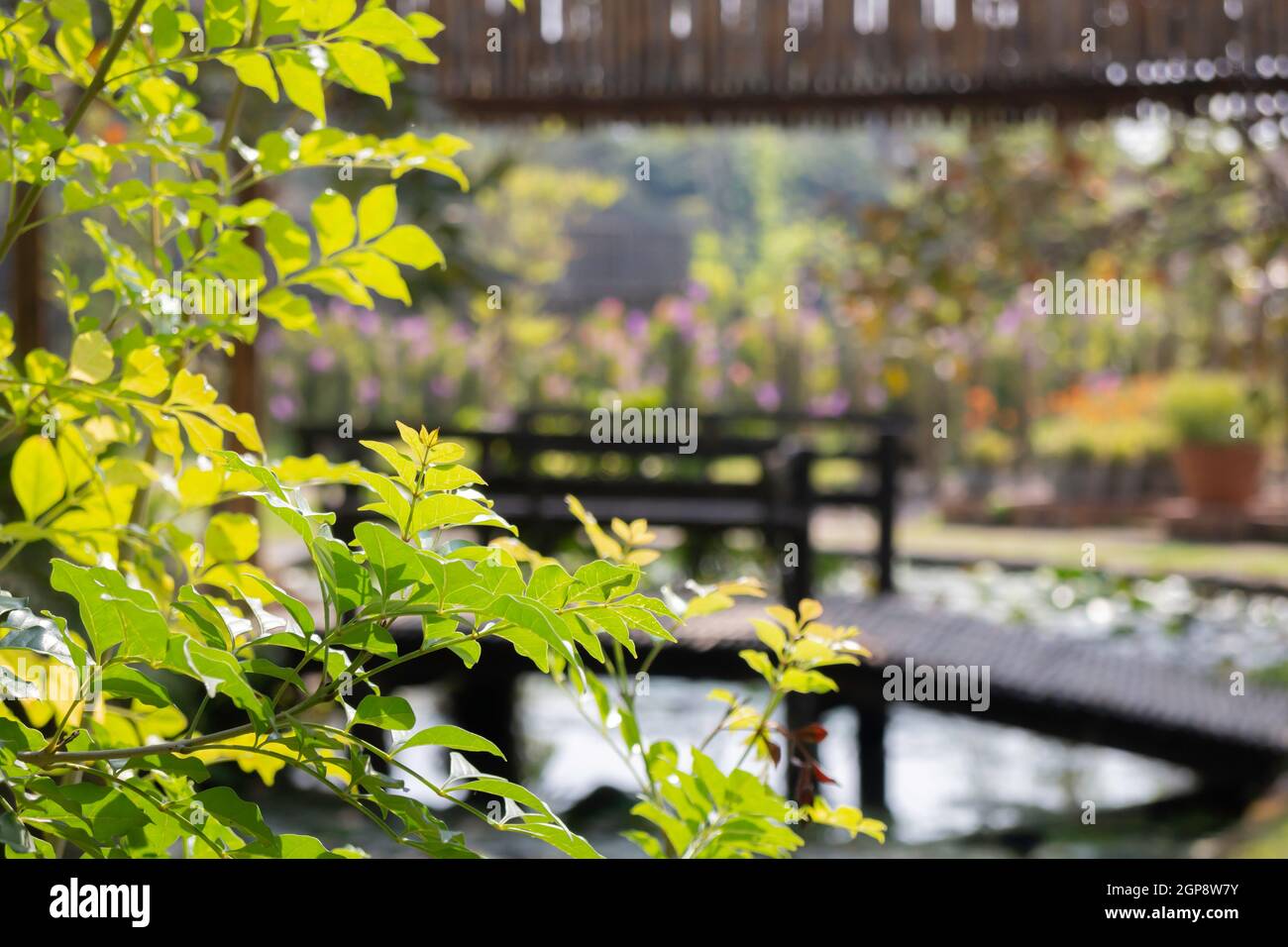 Simple resort furniture seat setting arrangement, stock photo Stock ...