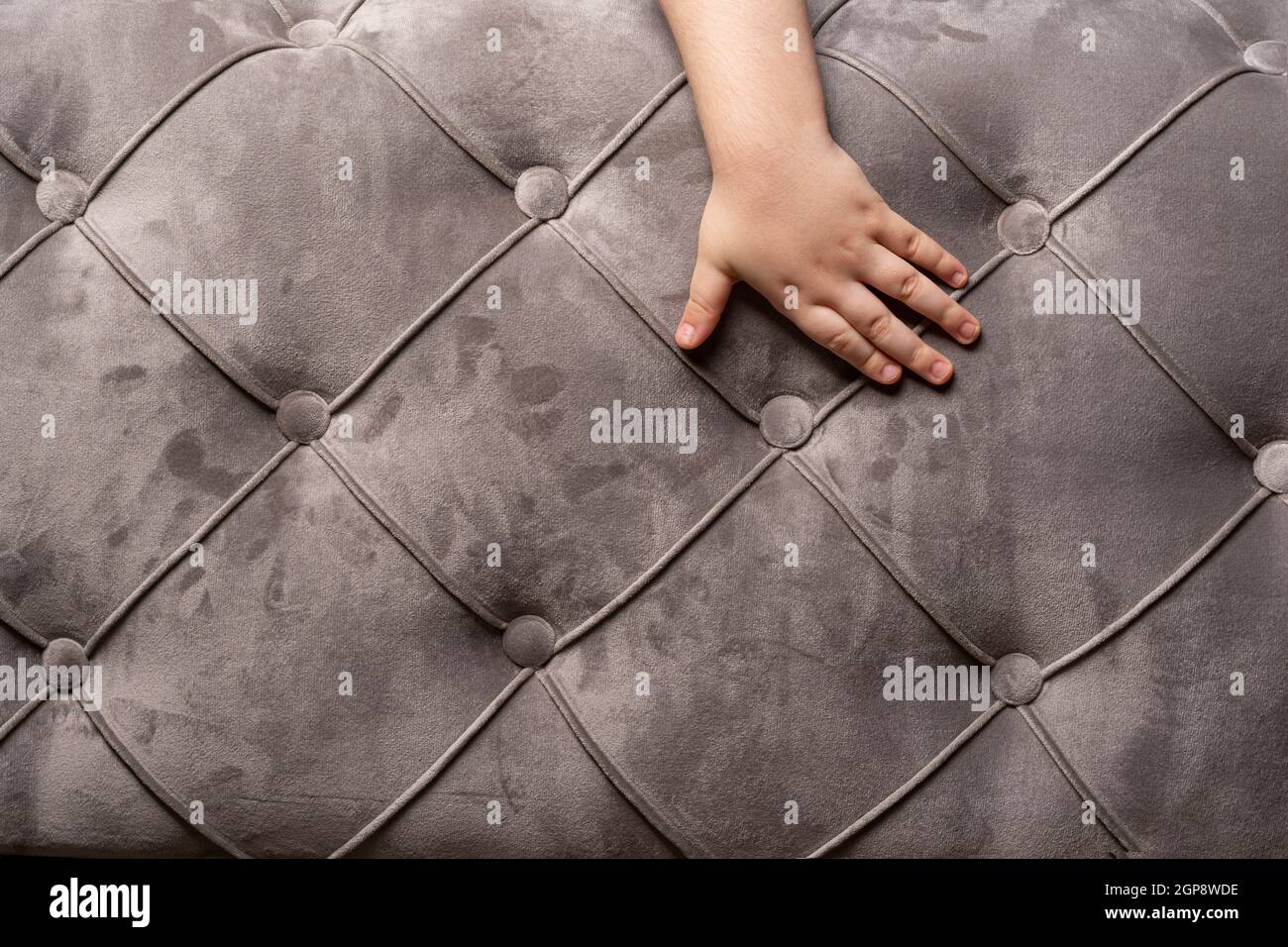 Gray velvet couch texture background with a child hand, close up velvet ...