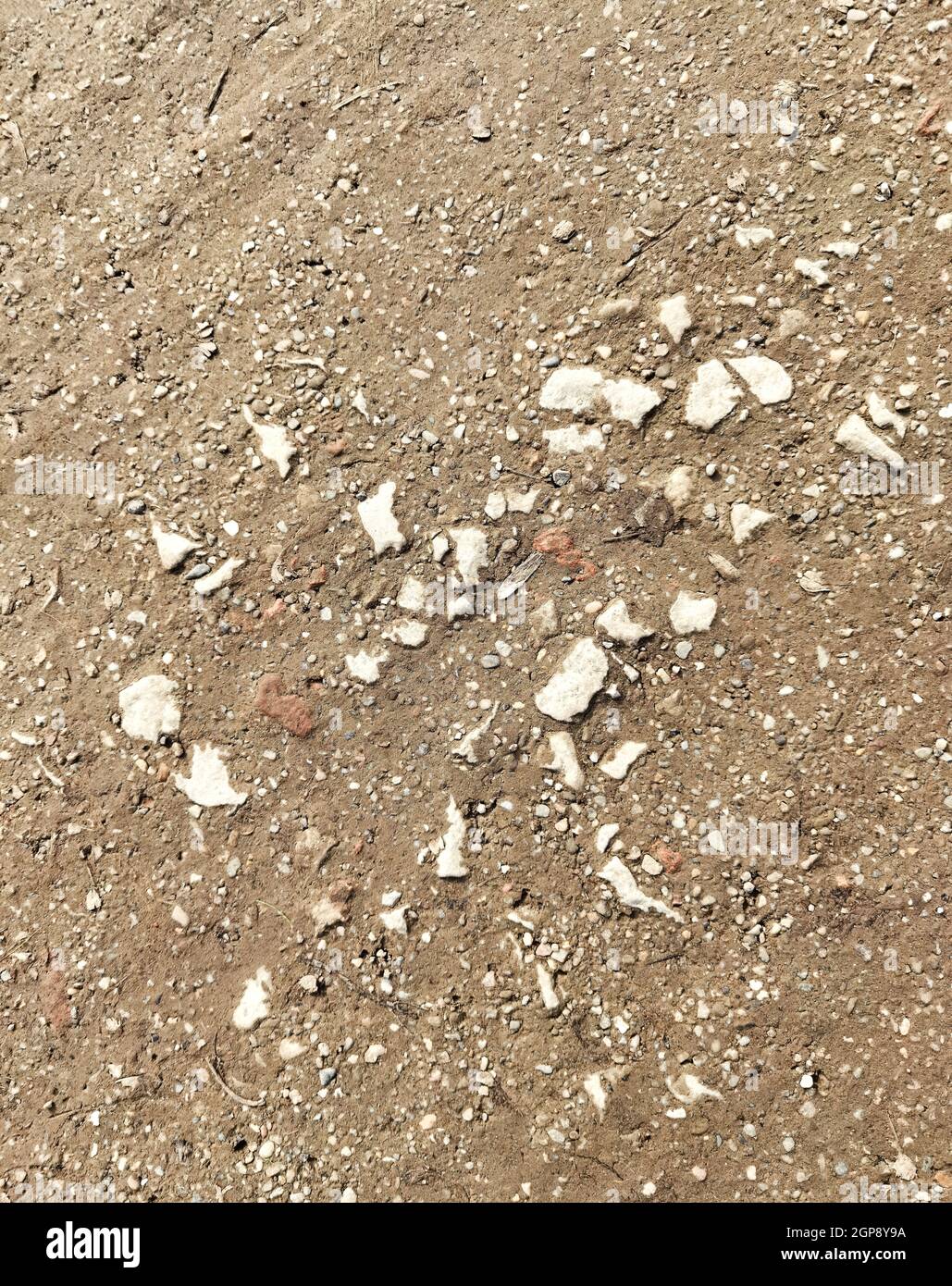 Gravel coastal garden path hi-res stock photography and images - Alamy