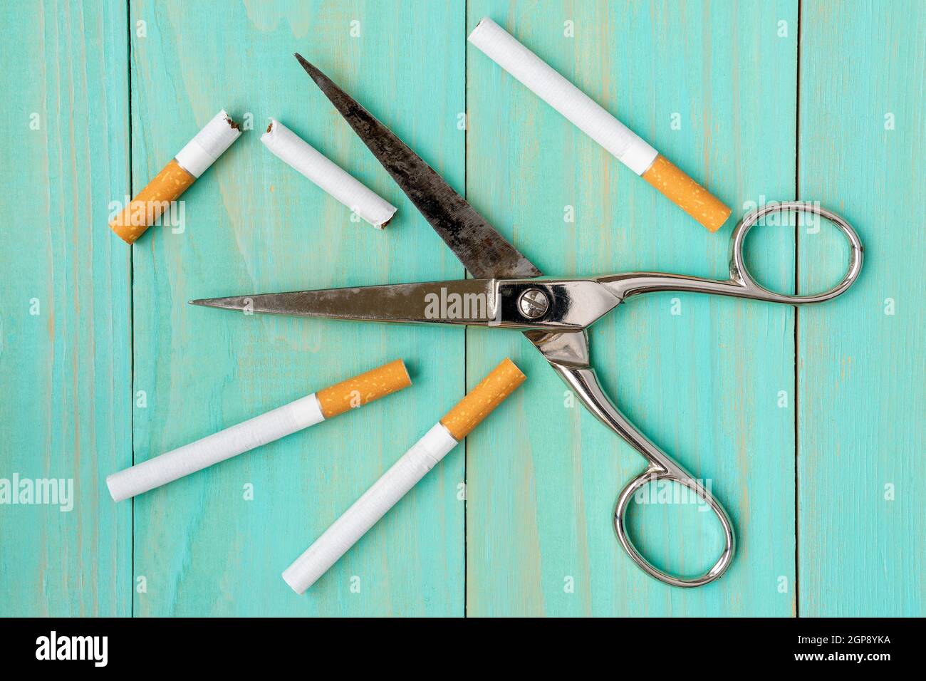 Cutting cigarettes by scissors. Anti smoking or quit smoking concept ...