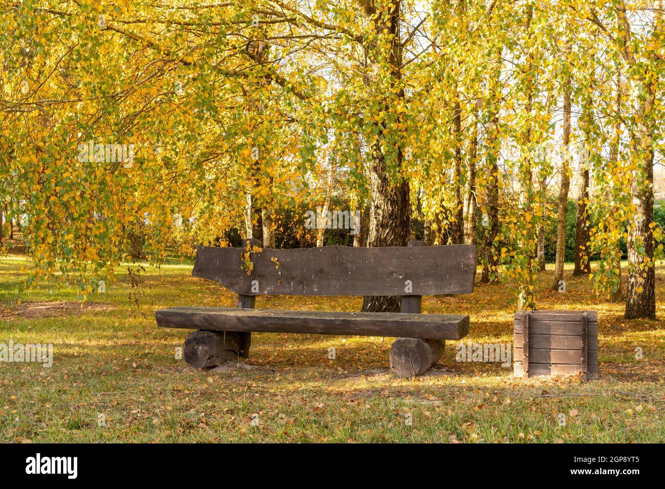 Place to sit under trees hi-res stock photography and images - Alamy
