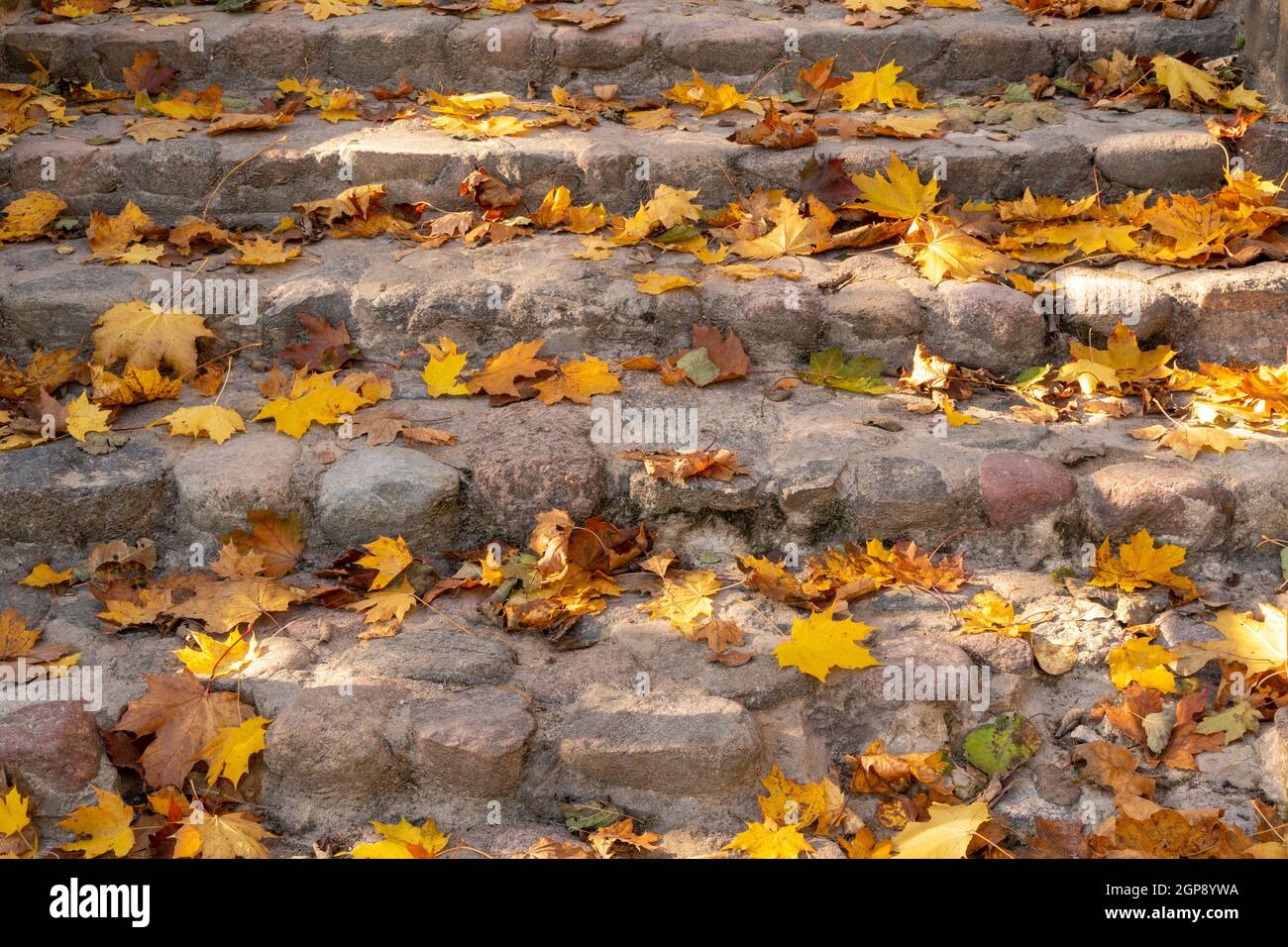 Autumn season in the city park, concrete stairs strewn with fallen ...