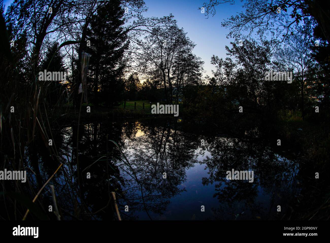 Sunset and forest silhouette (Sendai ice age of the forest). Shooting ...