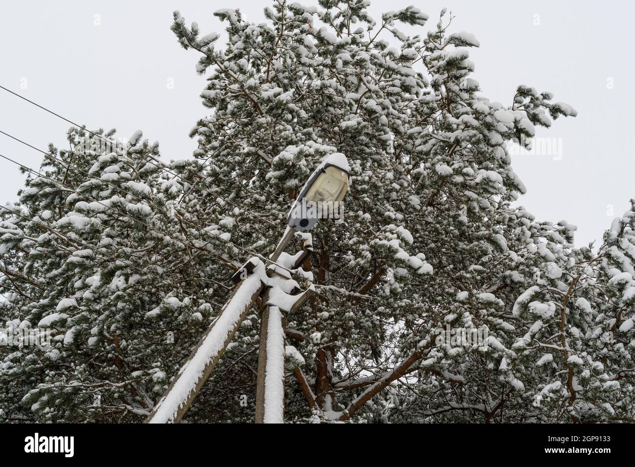 Lamp post under hi-res stock photography and images - Alamy