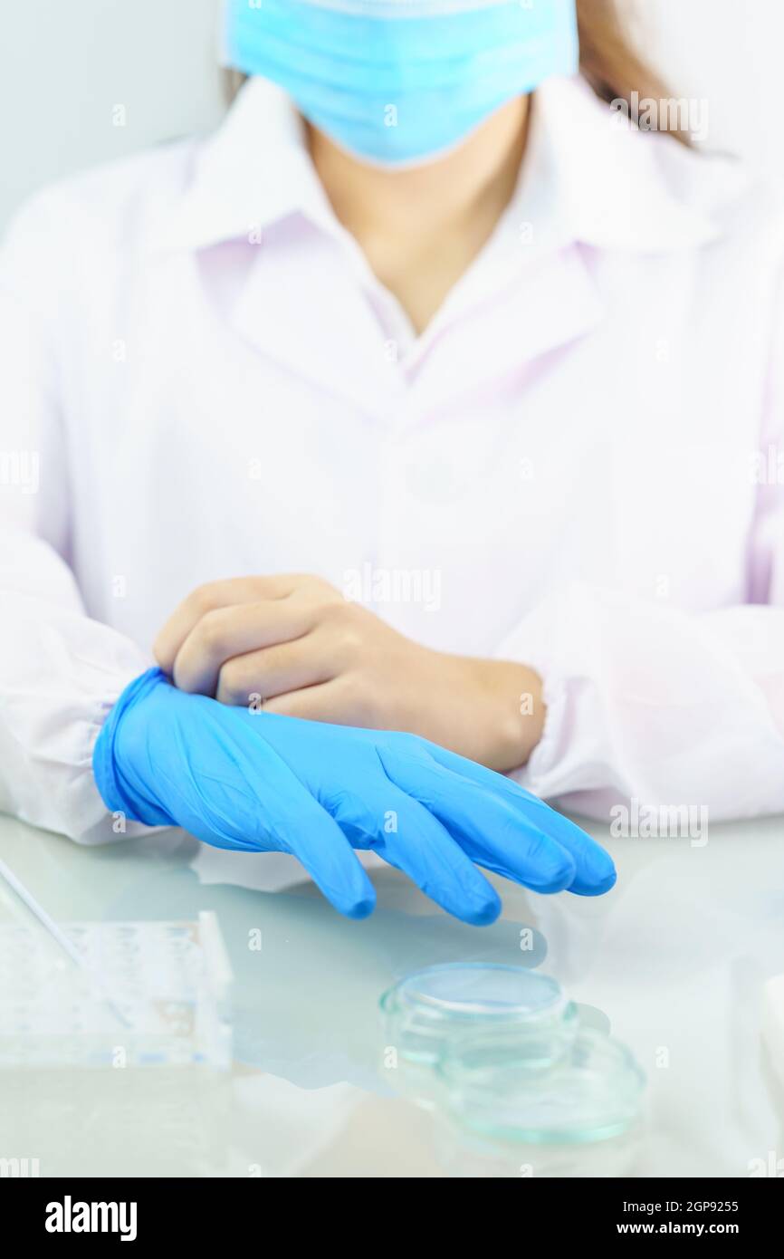 Close up Scientist hands putting in nitrile blue latex gloves in ...