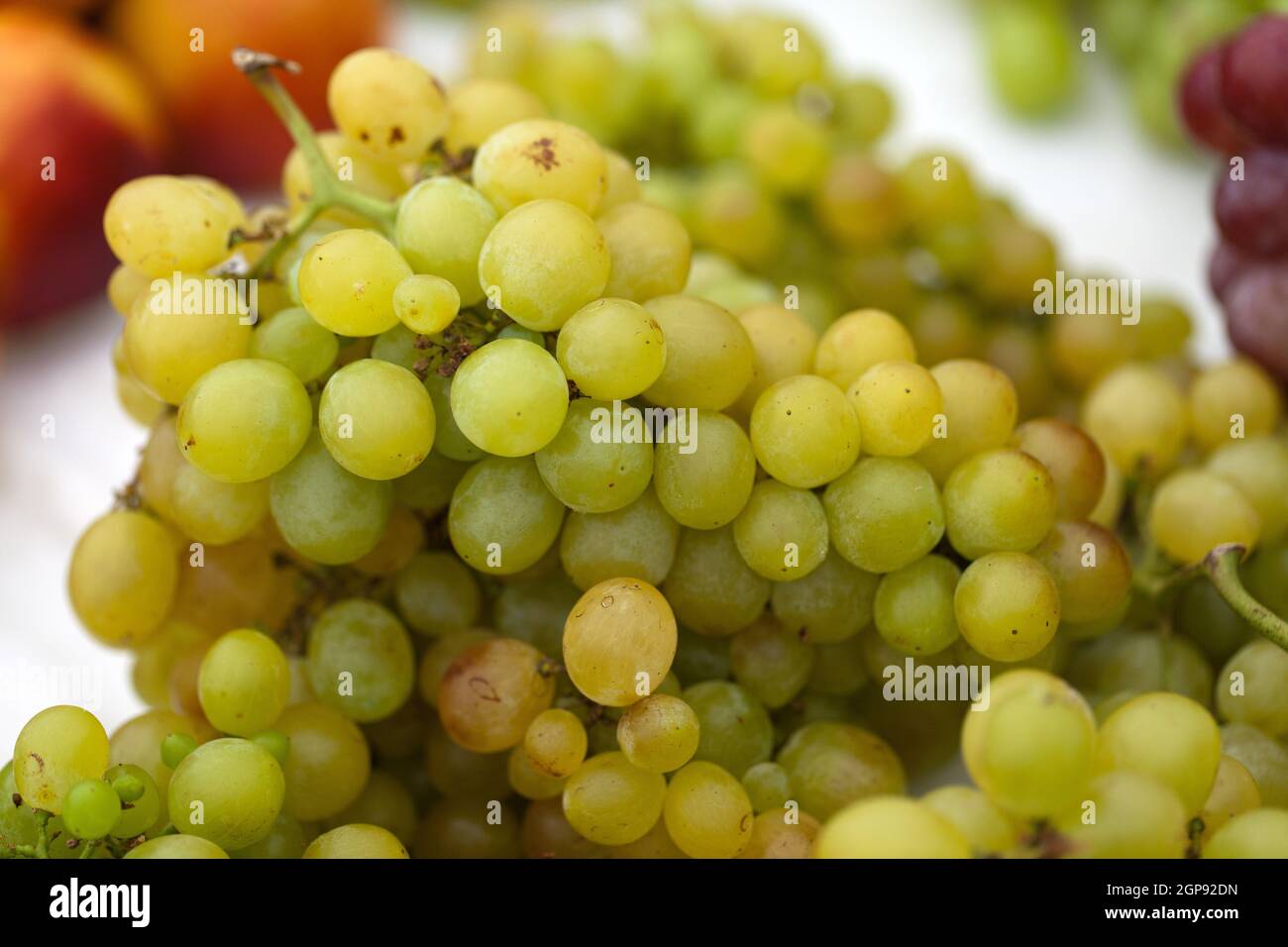 Background of freshly white grapes Stock Photo - Alamy