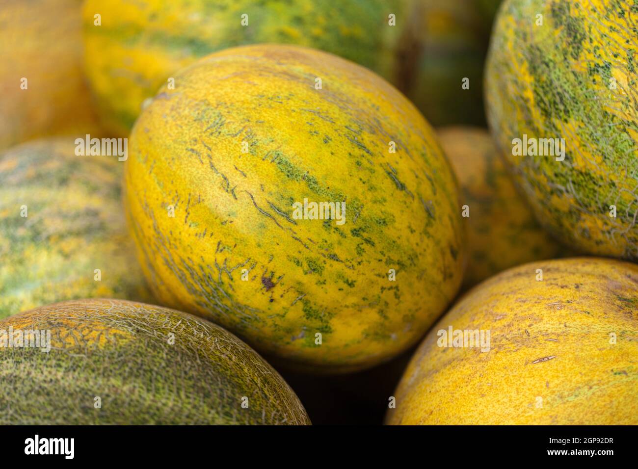 Cantaloupe edible fruit healthy market hi-res stock photography and ...