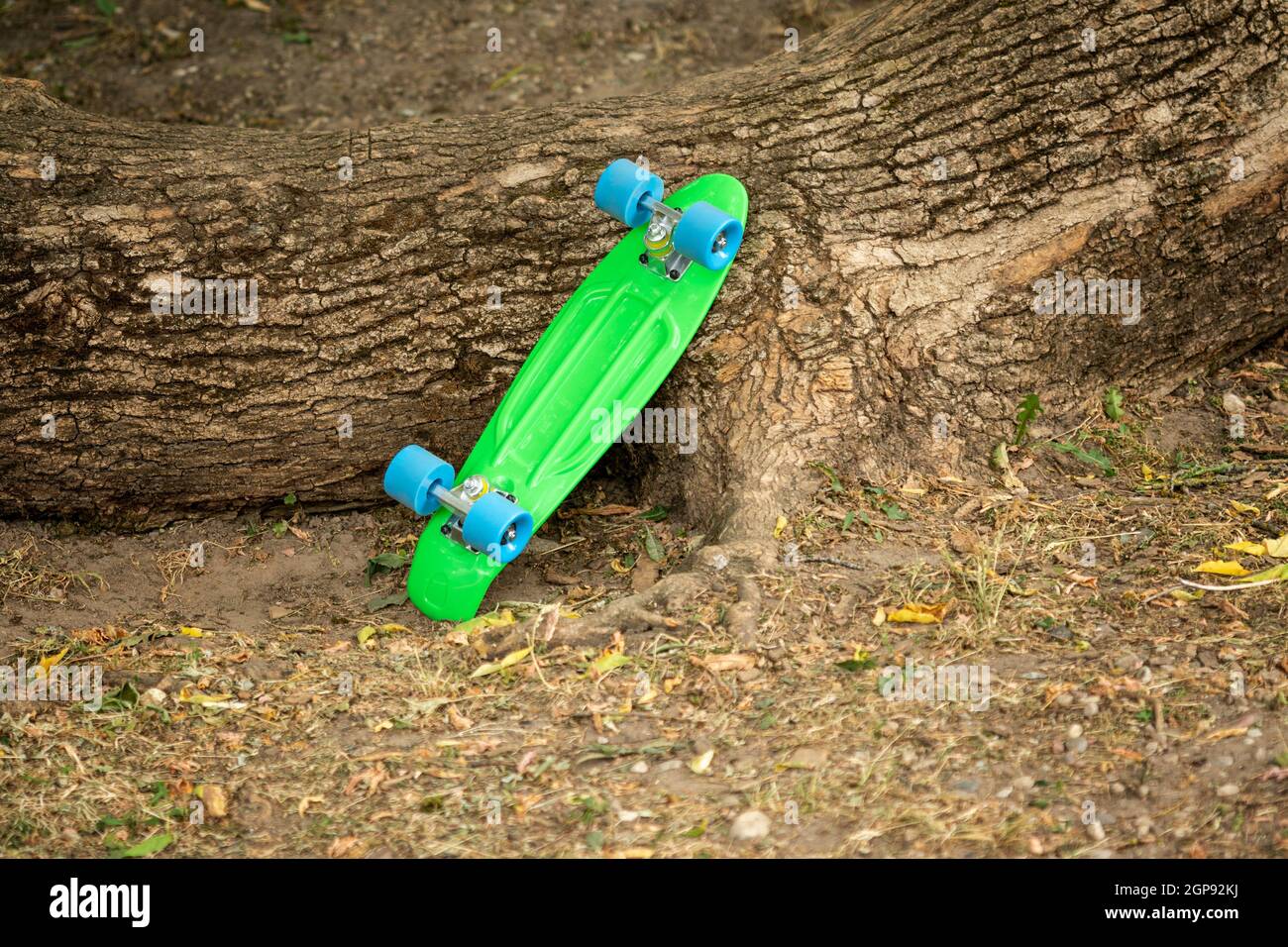 Abandoned green skateboard leaning against tree Stock Photo - Alamy