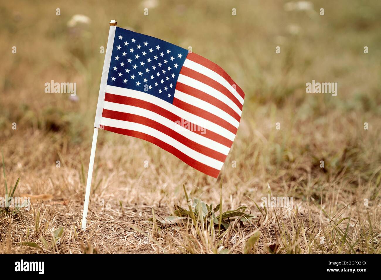 Small United States flag in the ground Stock Photo - Alamy