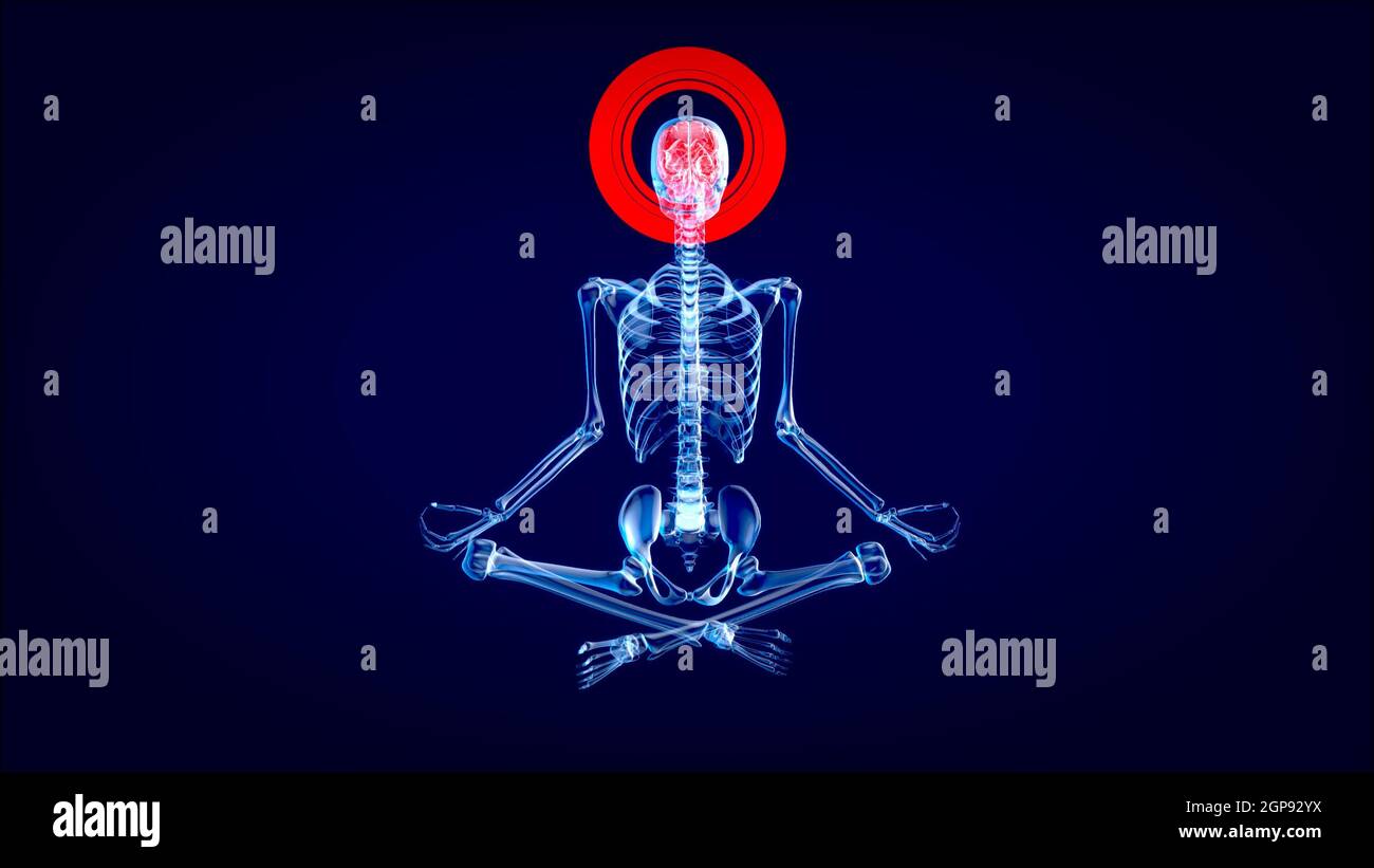 3D Creative abstract zen man in Xray Stock Photo - Alamy
