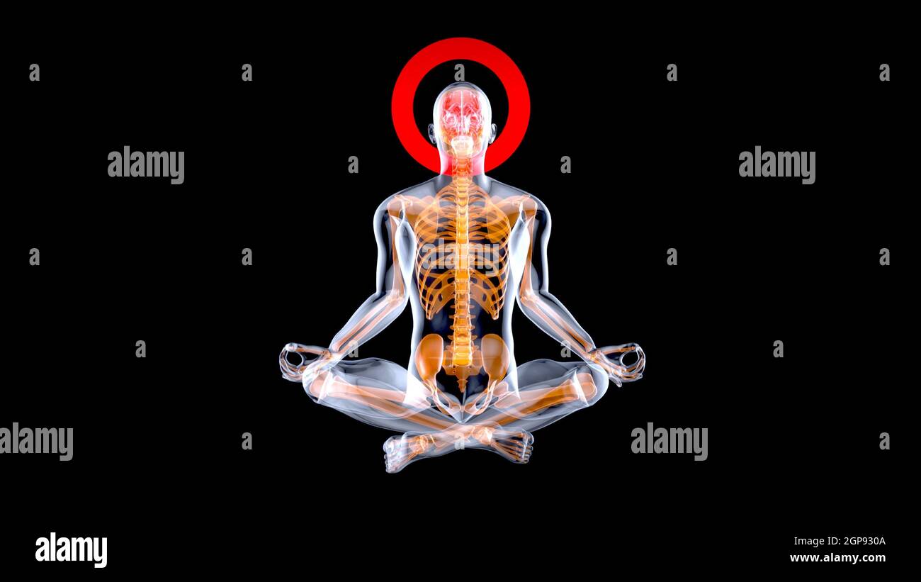 3D Creative abstract zen man in Xray Stock Photo - Alamy