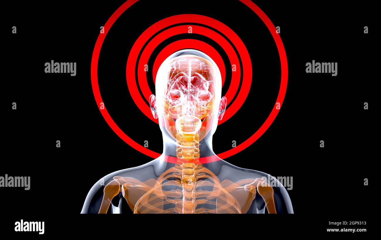 3D Anatomy concept of a Xray man Stock Photo - Alamy