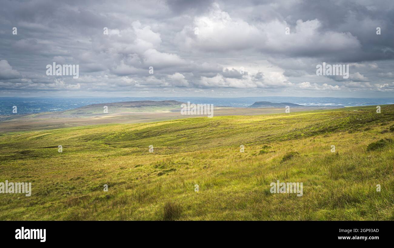 Green meadow or bog with long grass, illuminated by sunlight, Cuilcagh ...