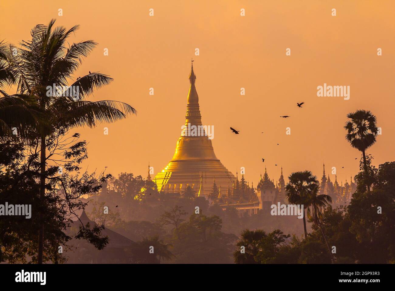 Shwedagon pagoda, at sunset, the Golden Pagoda, Yangon Myanmar Stock ...
