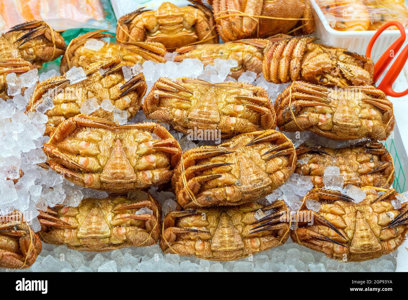 Red King Crab (Taraba crab) or Alaska King Crab at seafood market in ...