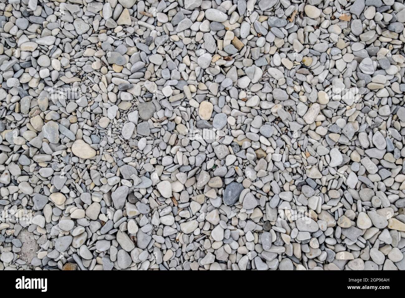 Background texture pebble on the seashore. rounded stone Stock Photo ...